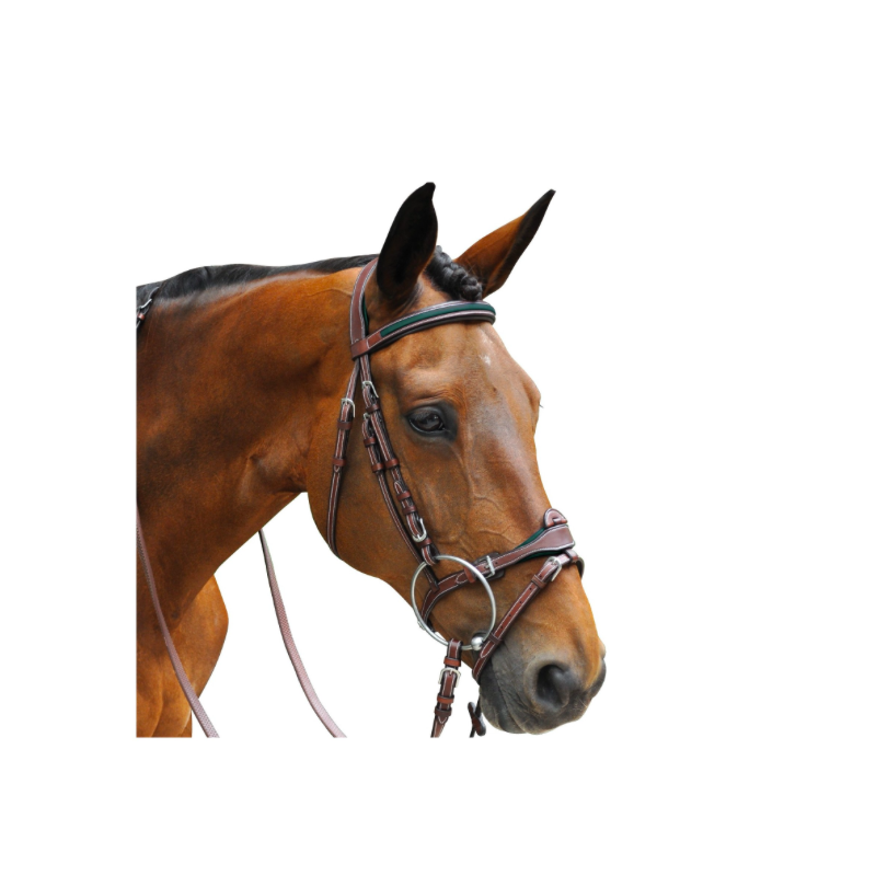 Bridon Paris Flags and Cup