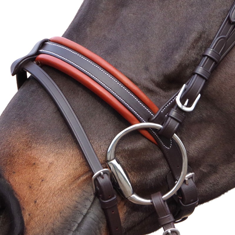 Bridon Alme - Canter