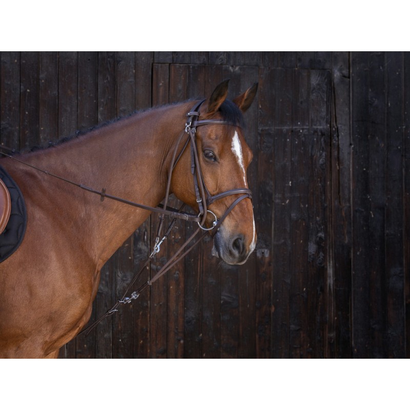 Gogue à Poulies - Riding World